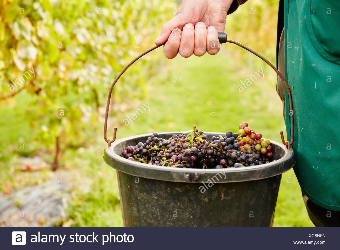 Carrying A Bucket High Resolution Stock Photography and Images - Alamy