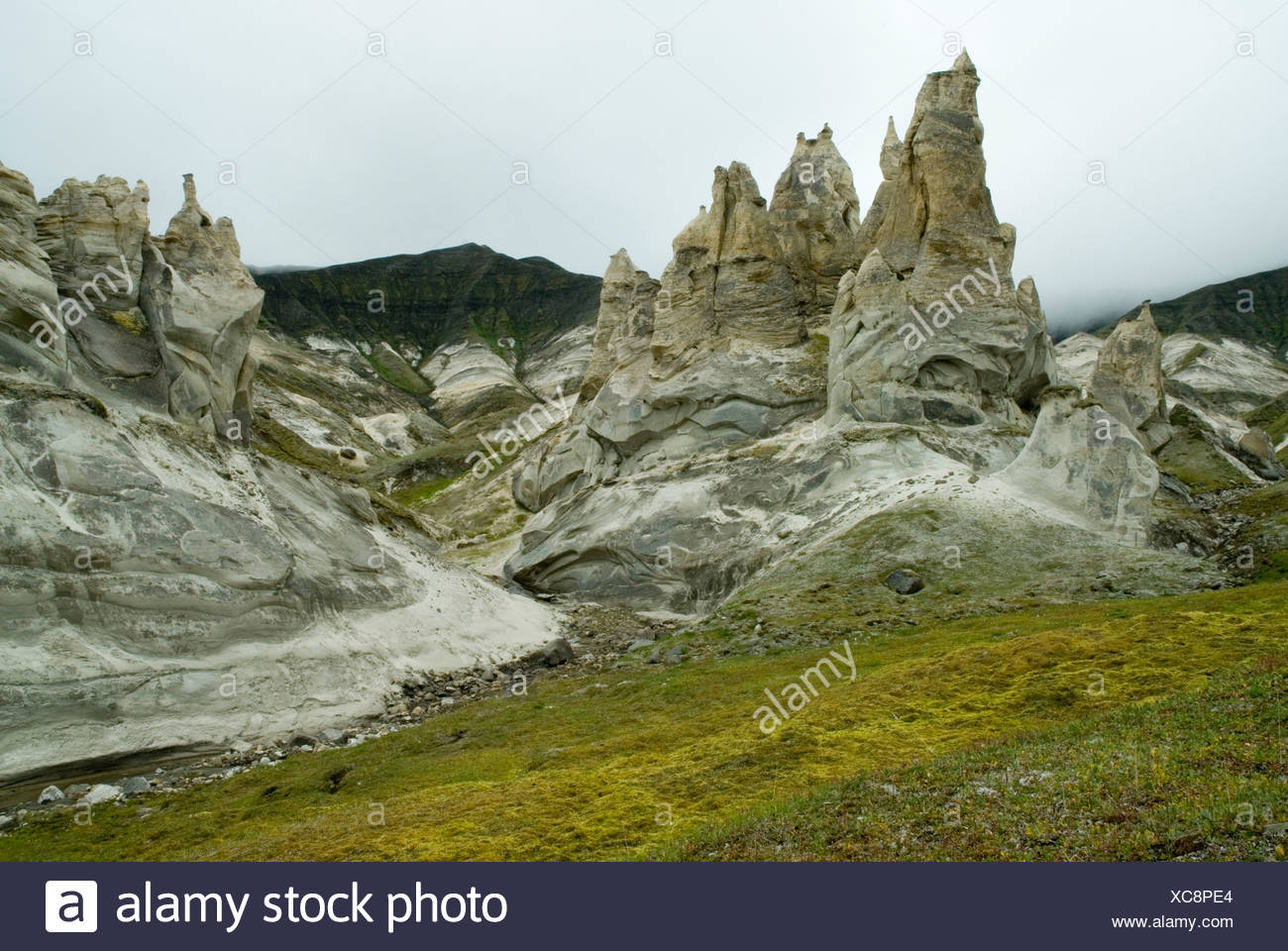 Bylot Island High Resolution Stock Photography and Images - Alamy