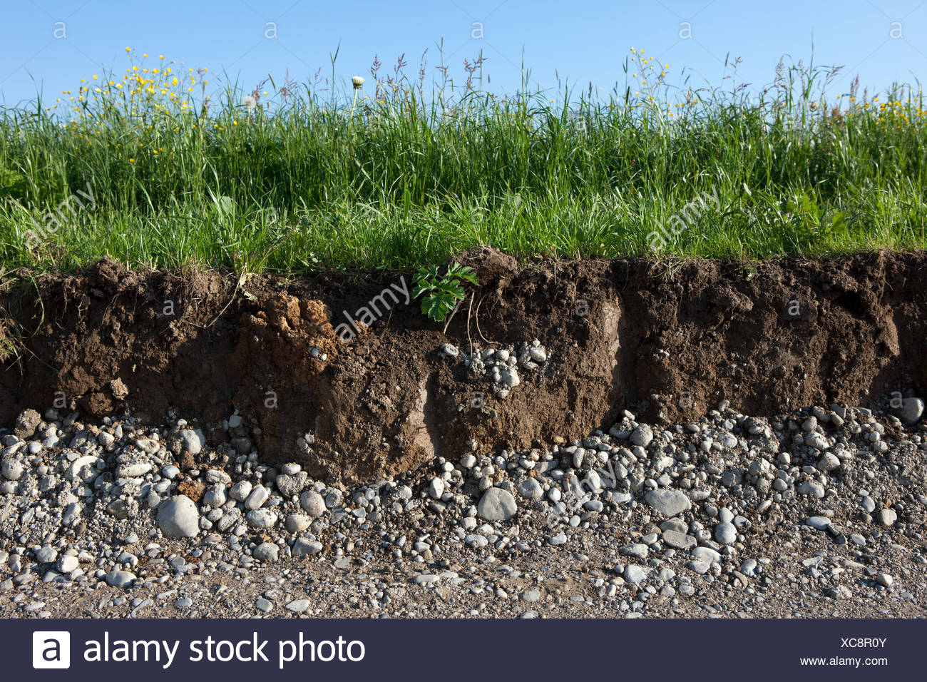 Cross Section Soil Layers Stock Photos & Cross Section Soil Layers ...