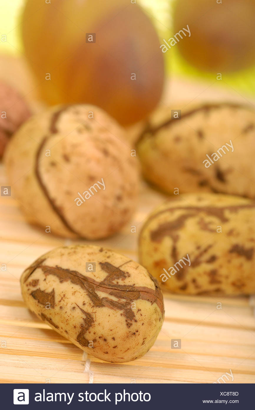 Cola Nitida High Resolution Stock Photography and Images - Alamy