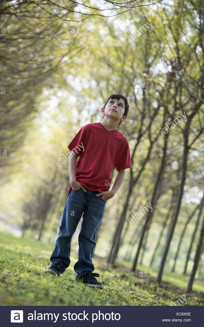 Boy Look Up At Tree High Resolution Stock Photography and Images - Alamy