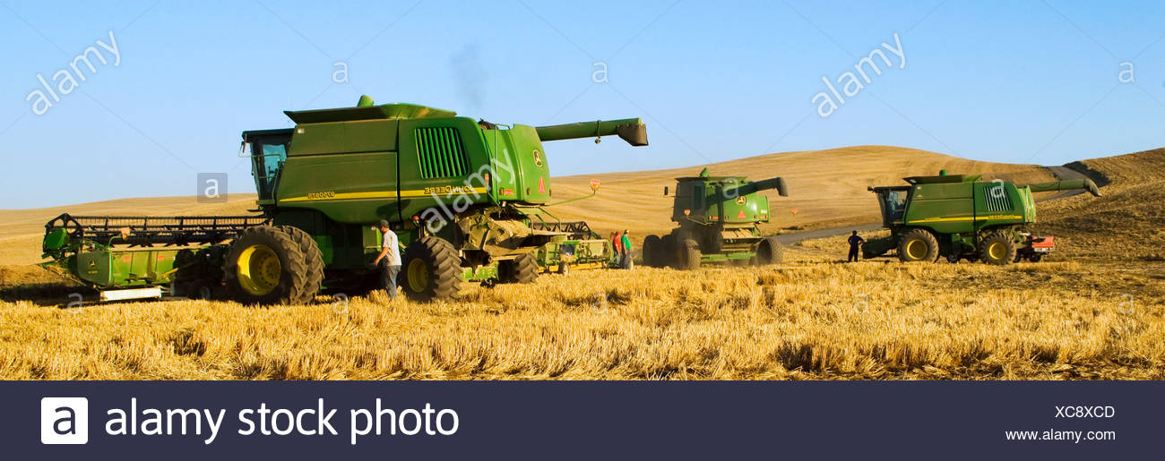 Cleaning Wheat High Resolution Stock Photography and Images - Alamy