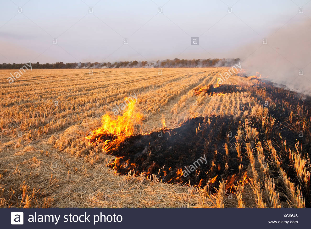 Fire Agricultural Field High Resolution Stock Photography and Images ...