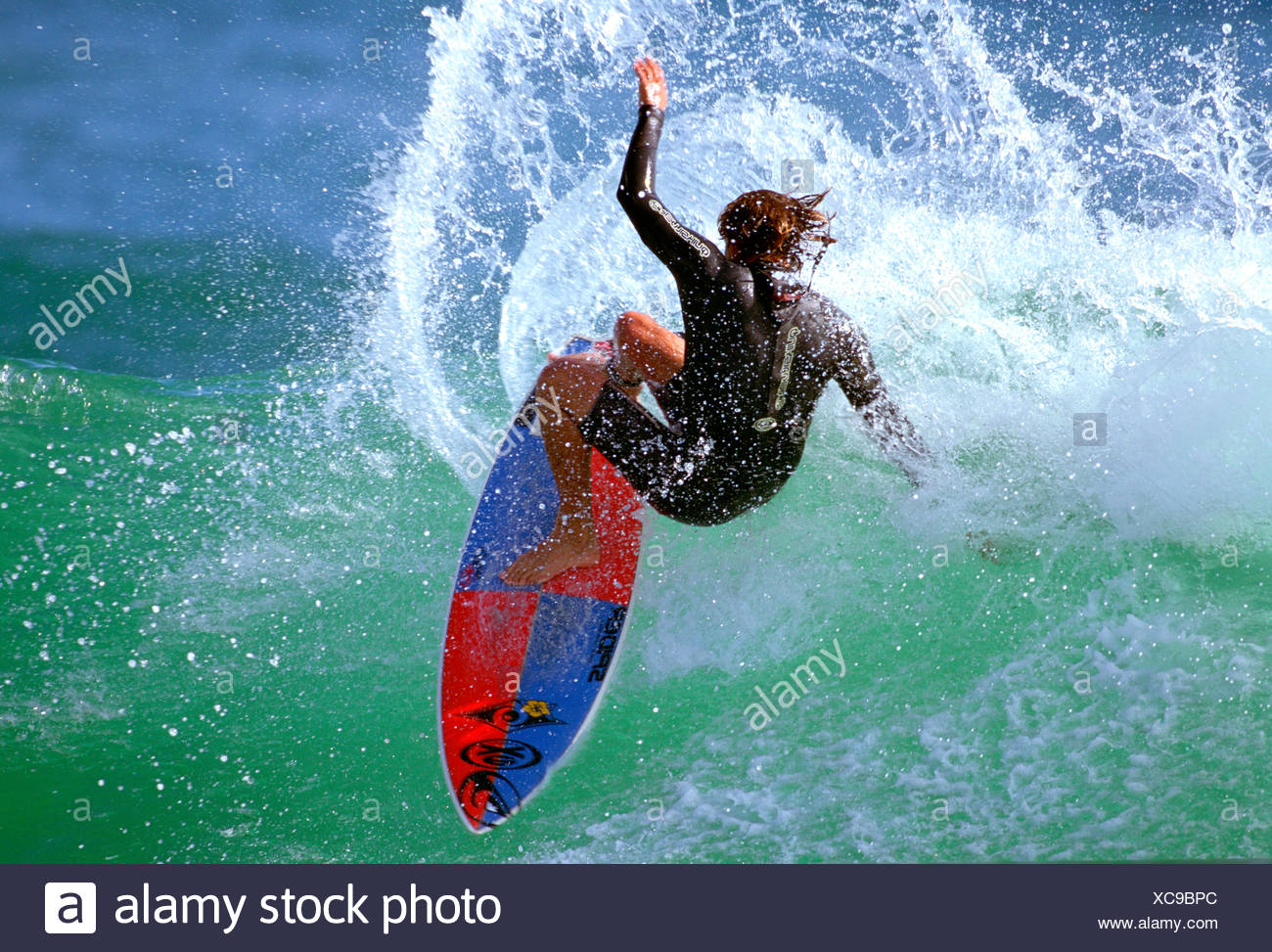 Cut Back Stock Photos & Cut Back Stock Images - Alamy