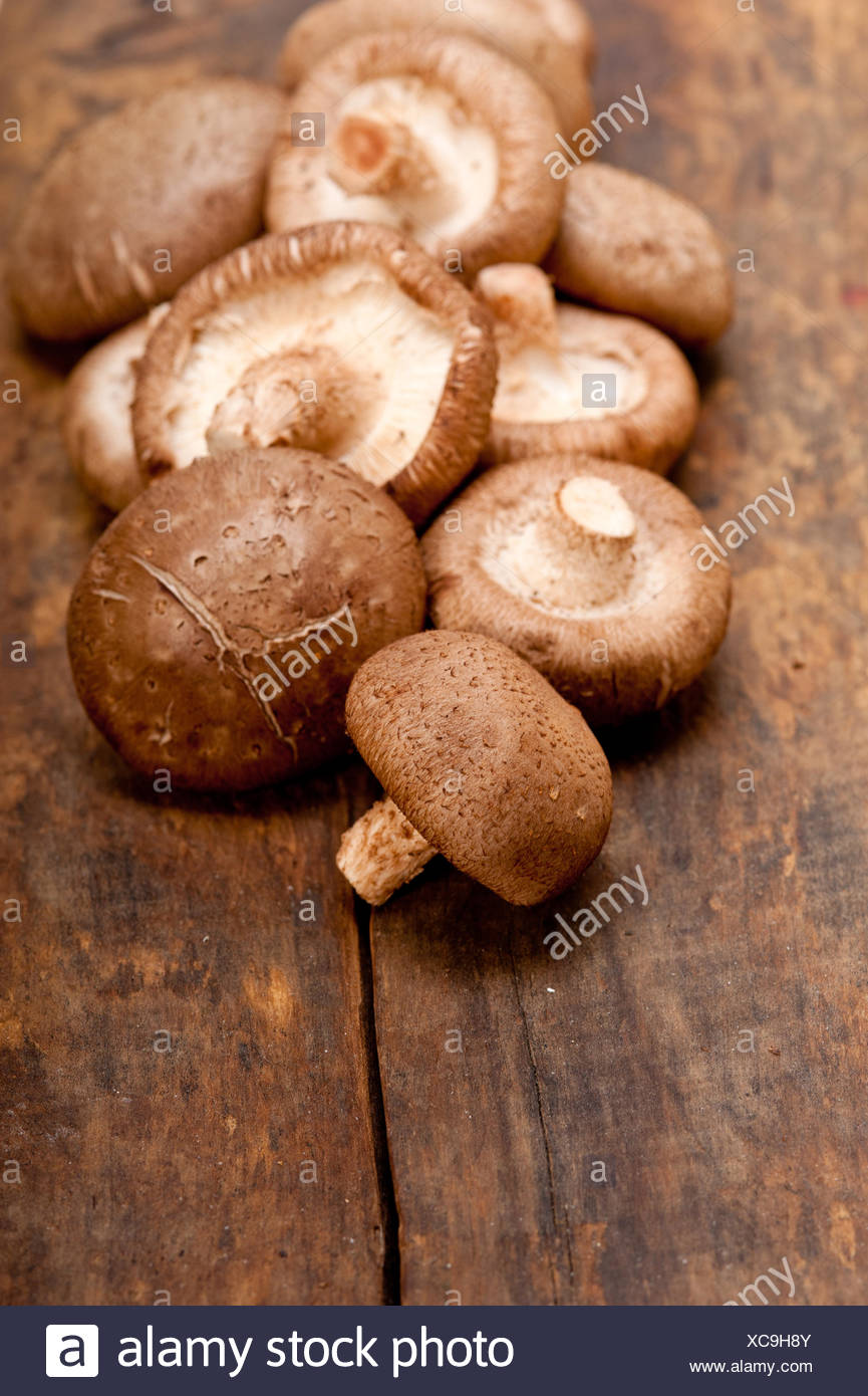 Brown Enoki Mushrooms High Resolution Stock Photography and Images - Alamy