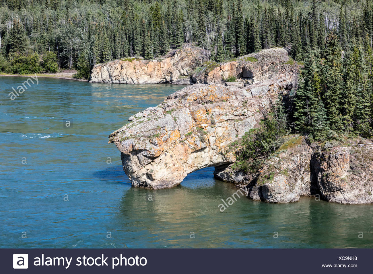 Five Finger Stock Photos & Five Finger Stock Images - Alamy