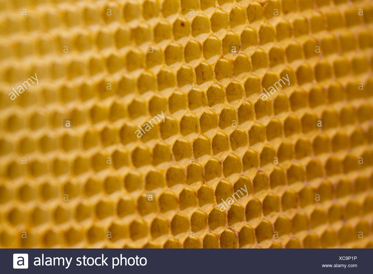 Honeycomb Cell Honeycomb Cells High Resolution Stock Photography and ...