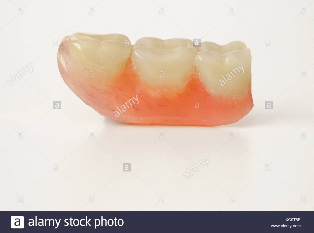 Human Teeth Imprint High Resolution Stock Photography and Images - Alamy