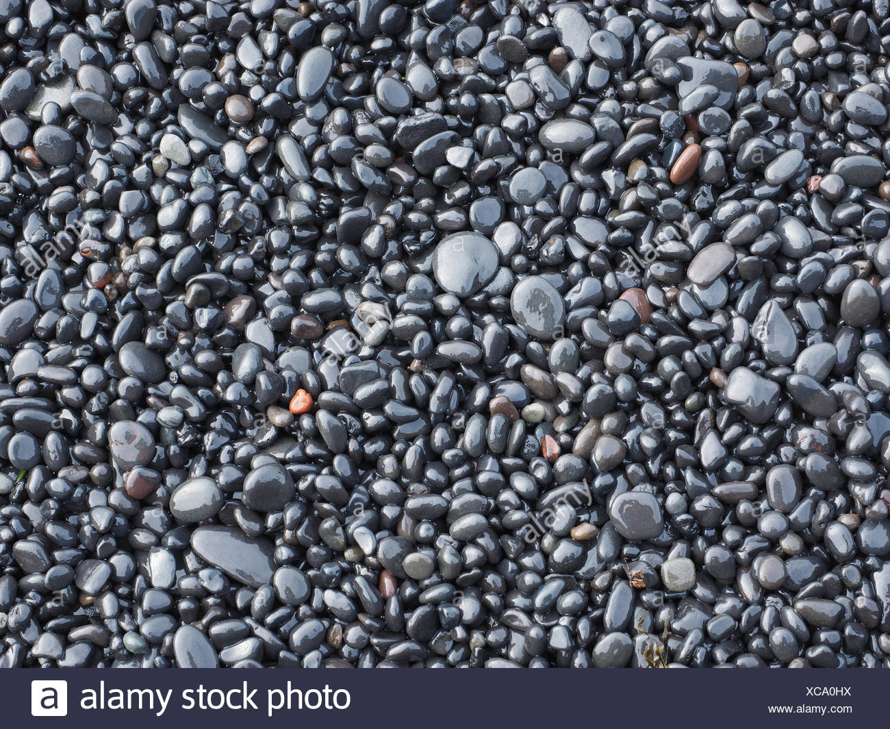 Rounded Basalt Pebbles High Resolution Stock Photography and Images - Alamy