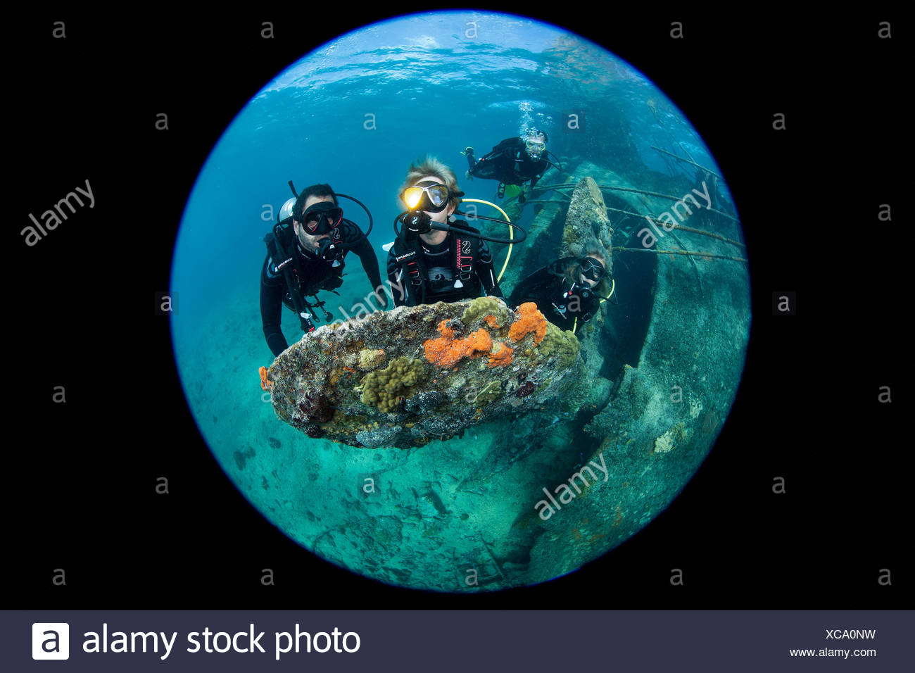 Ss Discovery Ship High Resolution Stock Photography and Images - Alamy