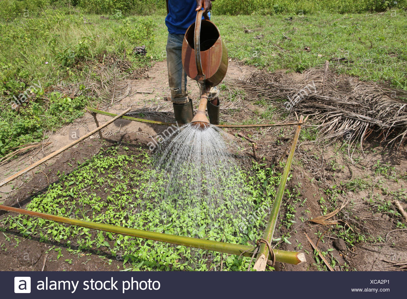African Water Pot High Resolution Stock Photography and Images - Alamy