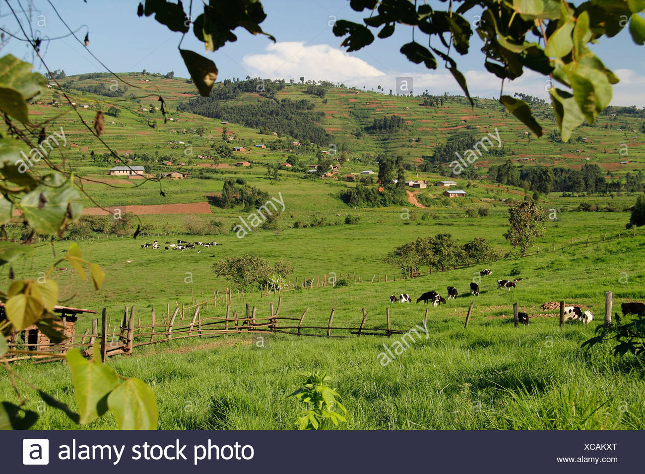 Kabale Uganda High Resolution Stock Photography and Images - Alamy