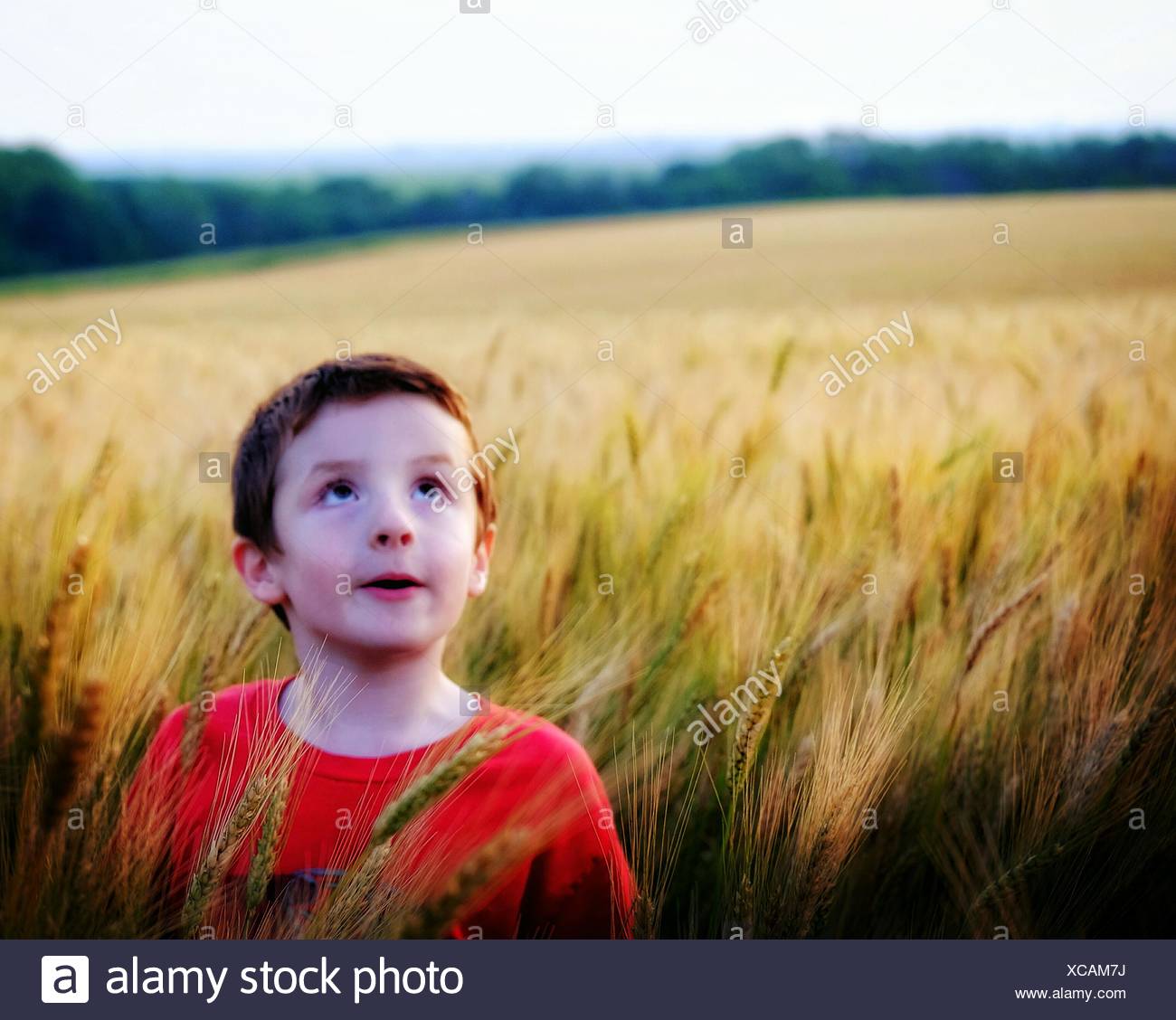 Farm Boy Stock Photos & Farm Boy Stock Images - Alamy