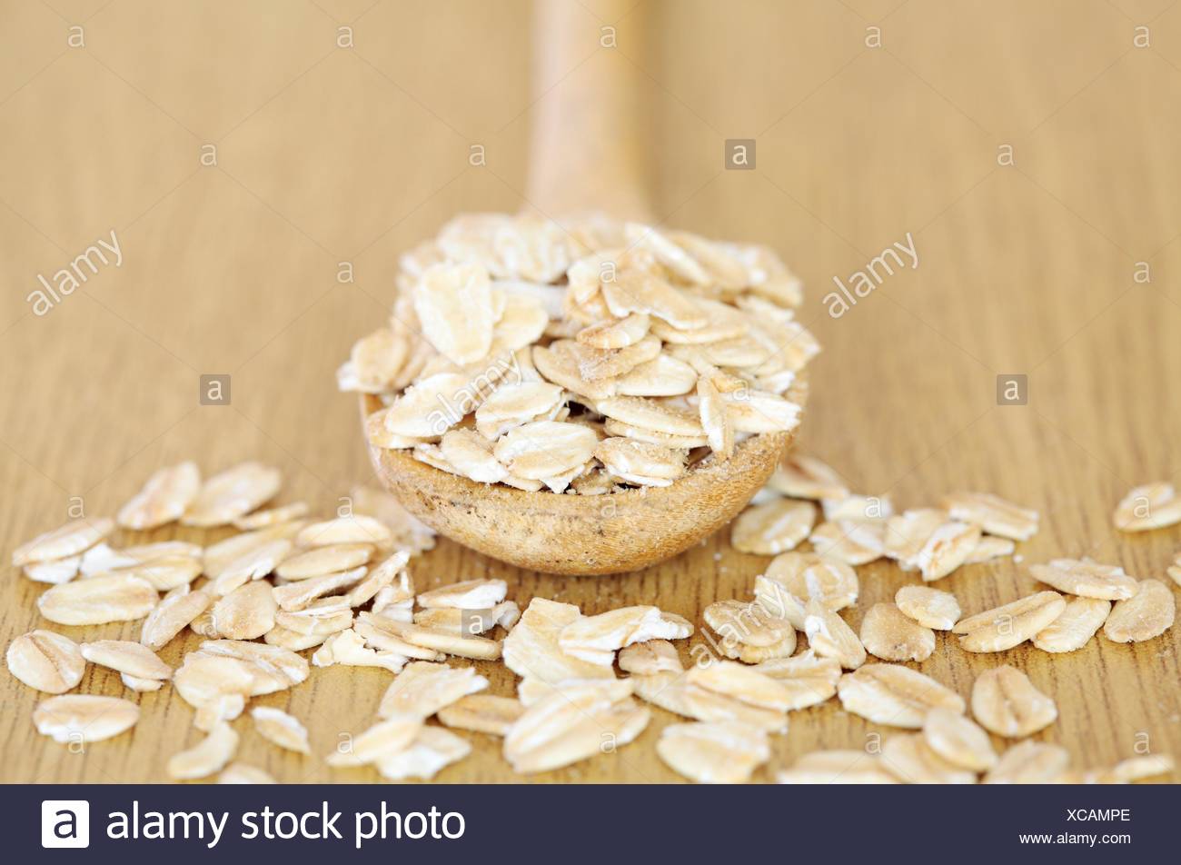 Avena Sativa High Resolution Stock Photography and Images - Alamy