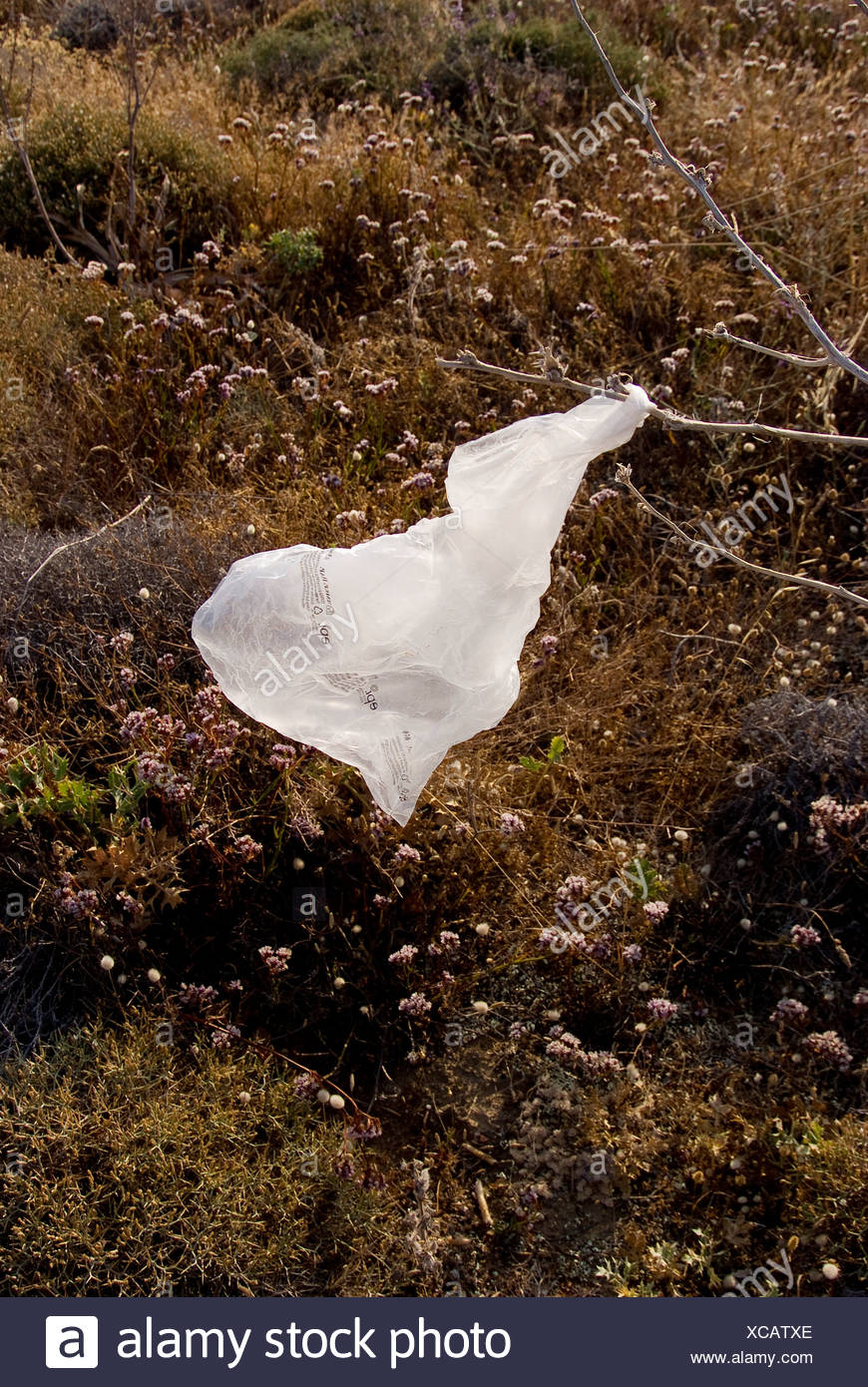 Bag Of Wind High Resolution Stock Photography and Images - Alamy