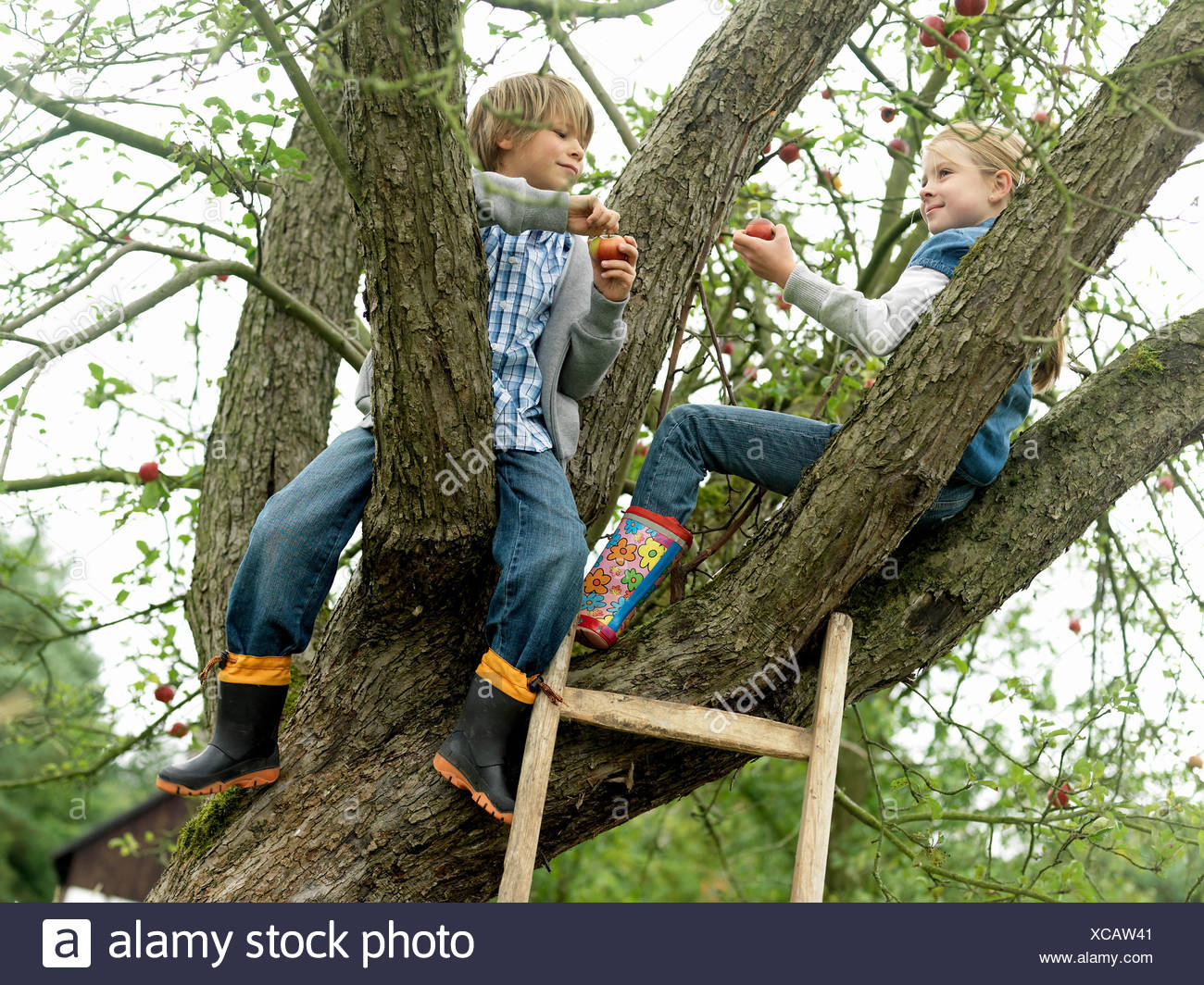 Female Straddling Male High Resolution Stock Photography and Images - Alamy
