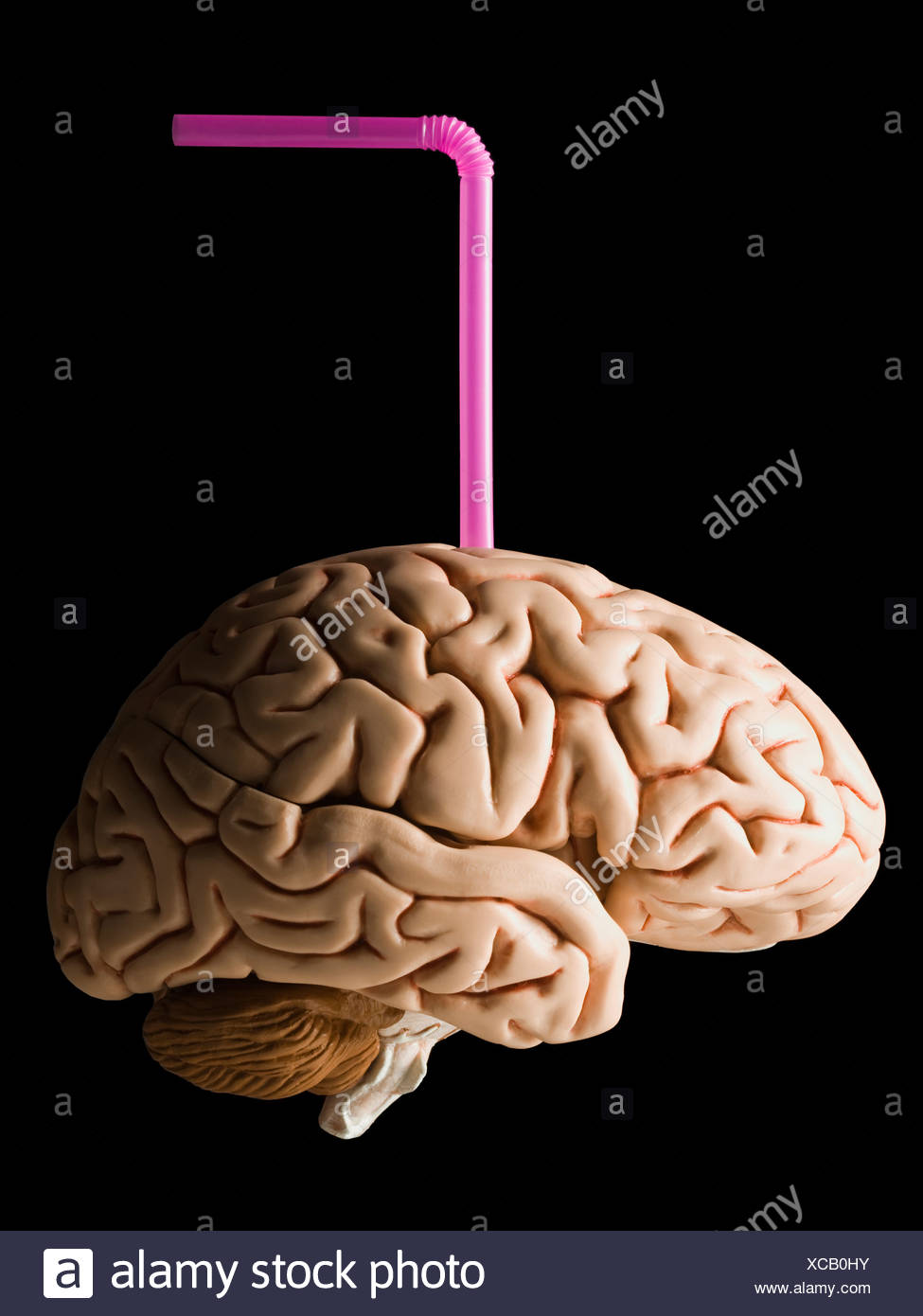Brain Food High Resolution Stock Photography and Images - Alamy