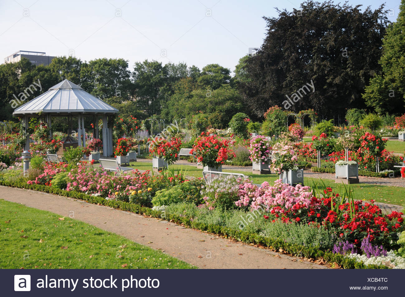 The Rose Garden High Resolution Stock Photography and Images - Alamy