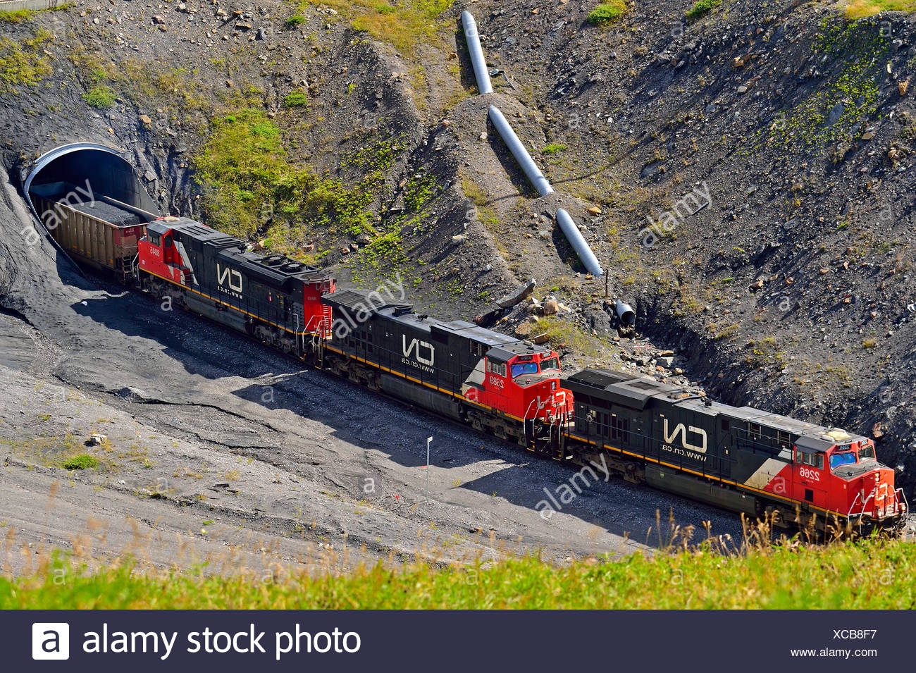 Car Hauling High Resolution Stock Photography and Images - Alamy