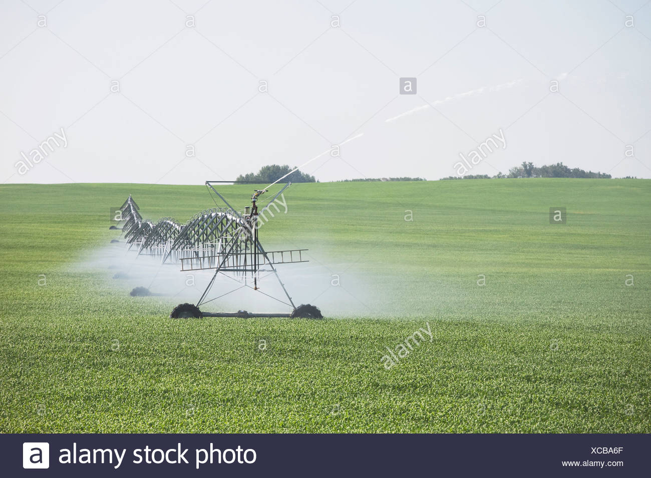 Water Irrigation High Resolution Stock Photography and Images - Alamy