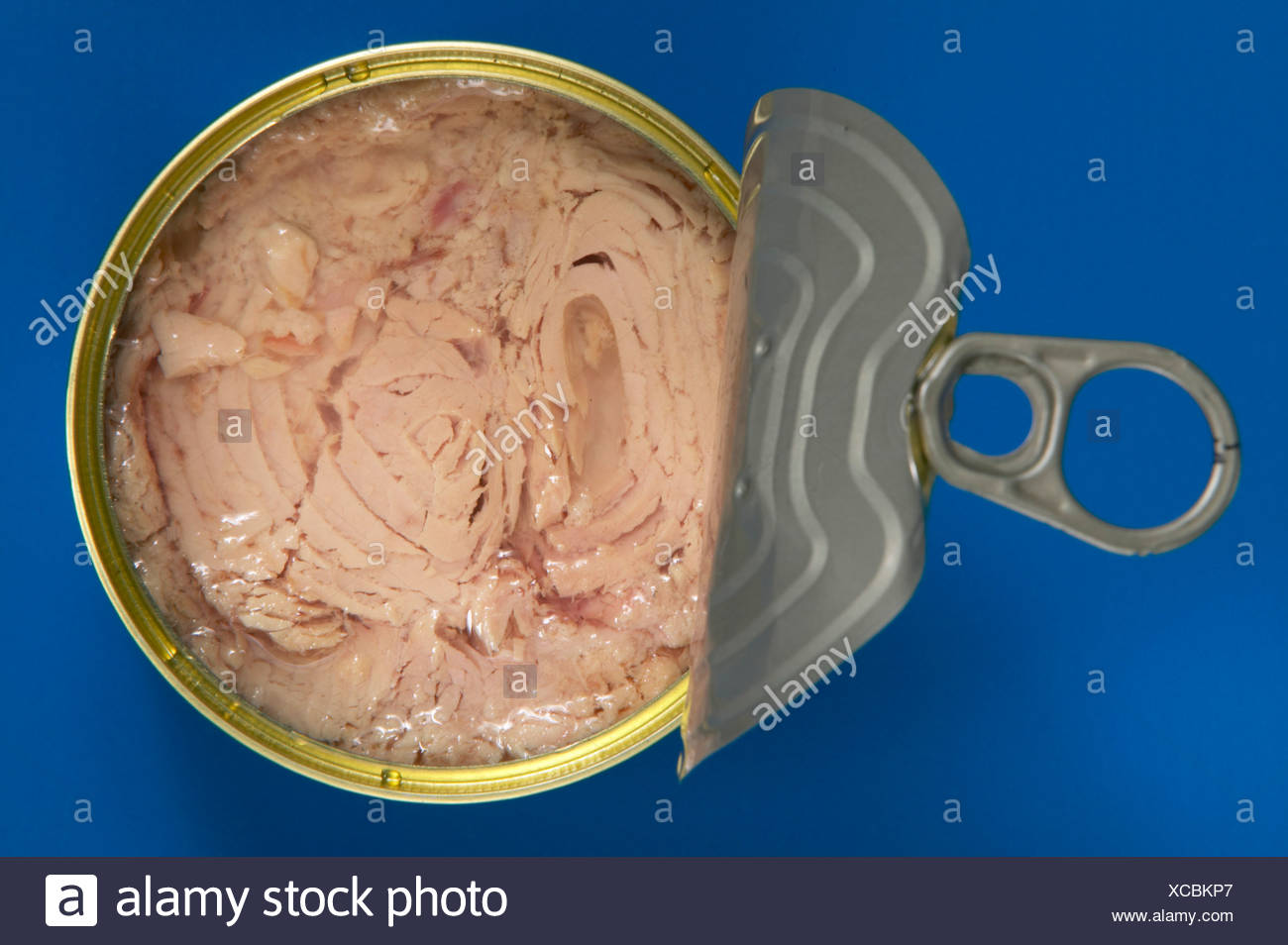 Tin Of Tuna Stock Photos & Tin Of Tuna Stock Images - Alamy Tin Of Tuna Stock Photos & Tin Of Tuna Stock Images - Alamy