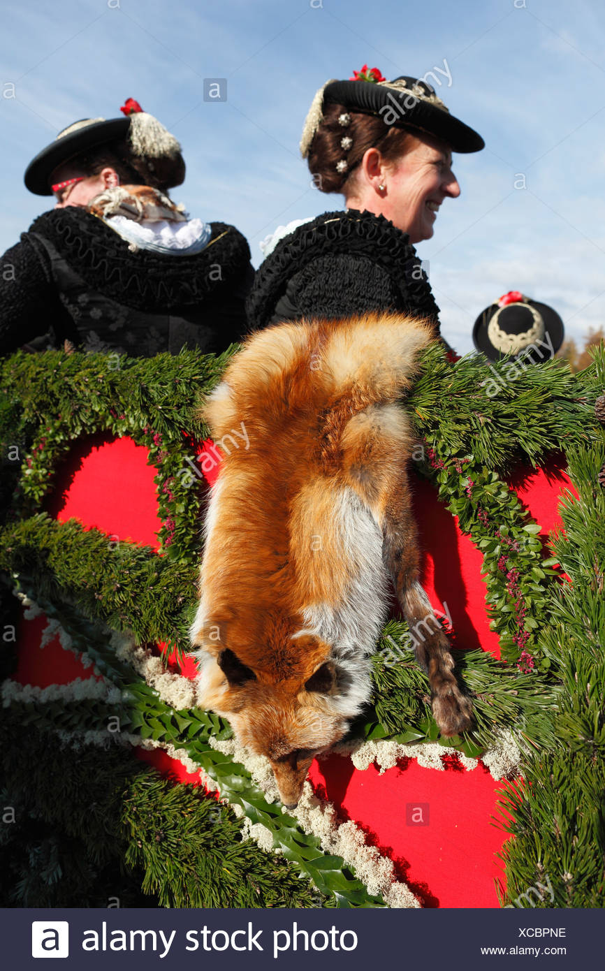 German Fox High Resolution Stock Photography and Images - Alamy