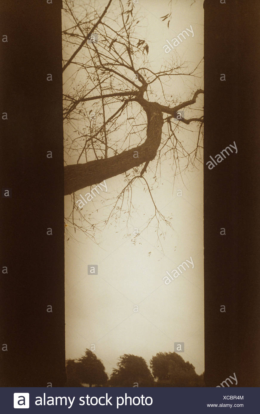 Garden Through Window Stock Photos & Garden Through Window Stock Images ...