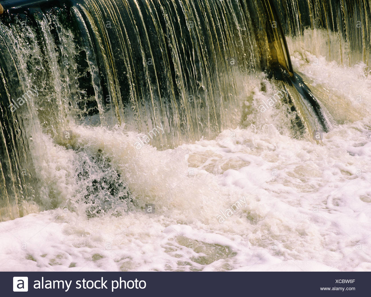 Detergent Pollution High Resolution Stock Photography and Images - Alamy
