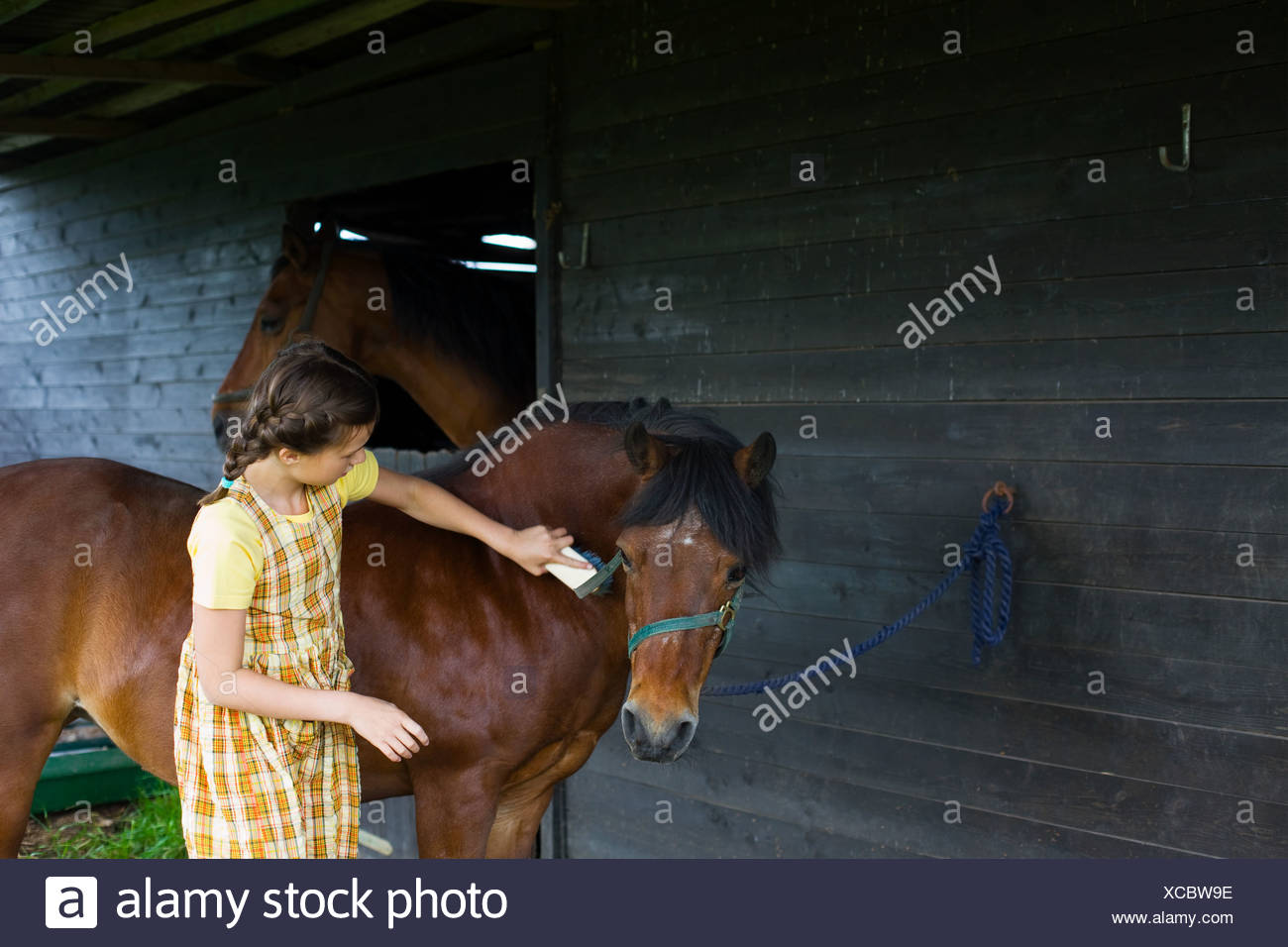 Stable Girls Stock Photos & Stable Girls Stock Images - Alamy
