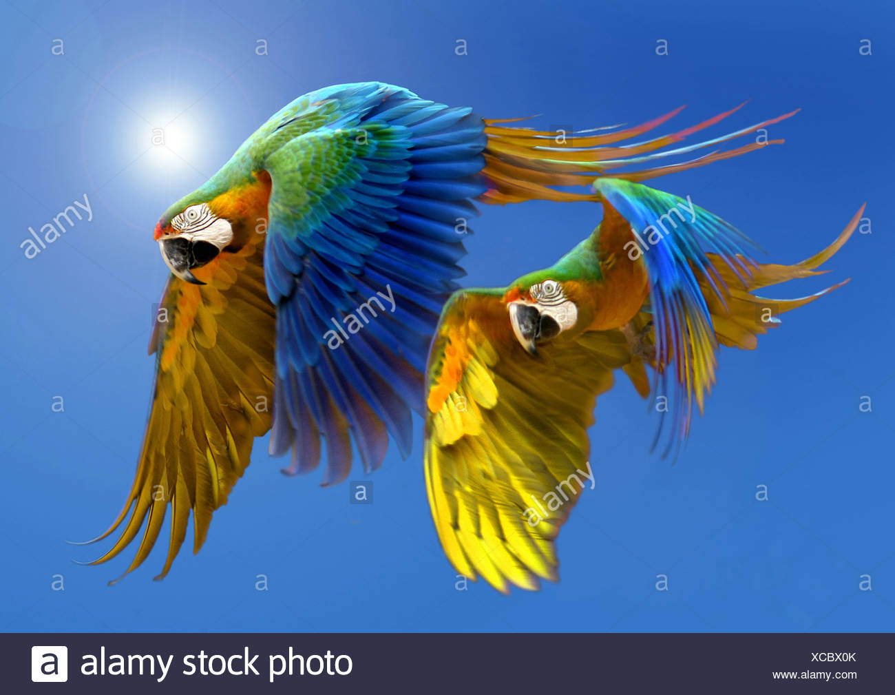 Celestial Objects In The Sky High Resolution Stock Photography and ...