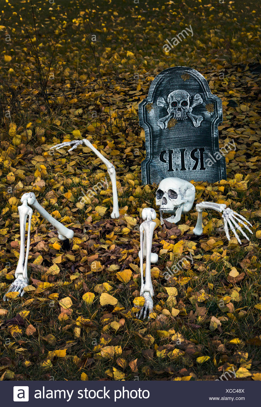 Skeleton Tombstone On Lawn Halloween Stock Photos & Skeleton Tombstone ...