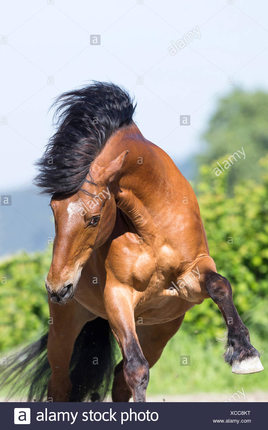 Freiberger High Resolution Stock Photography and Images - Alamy