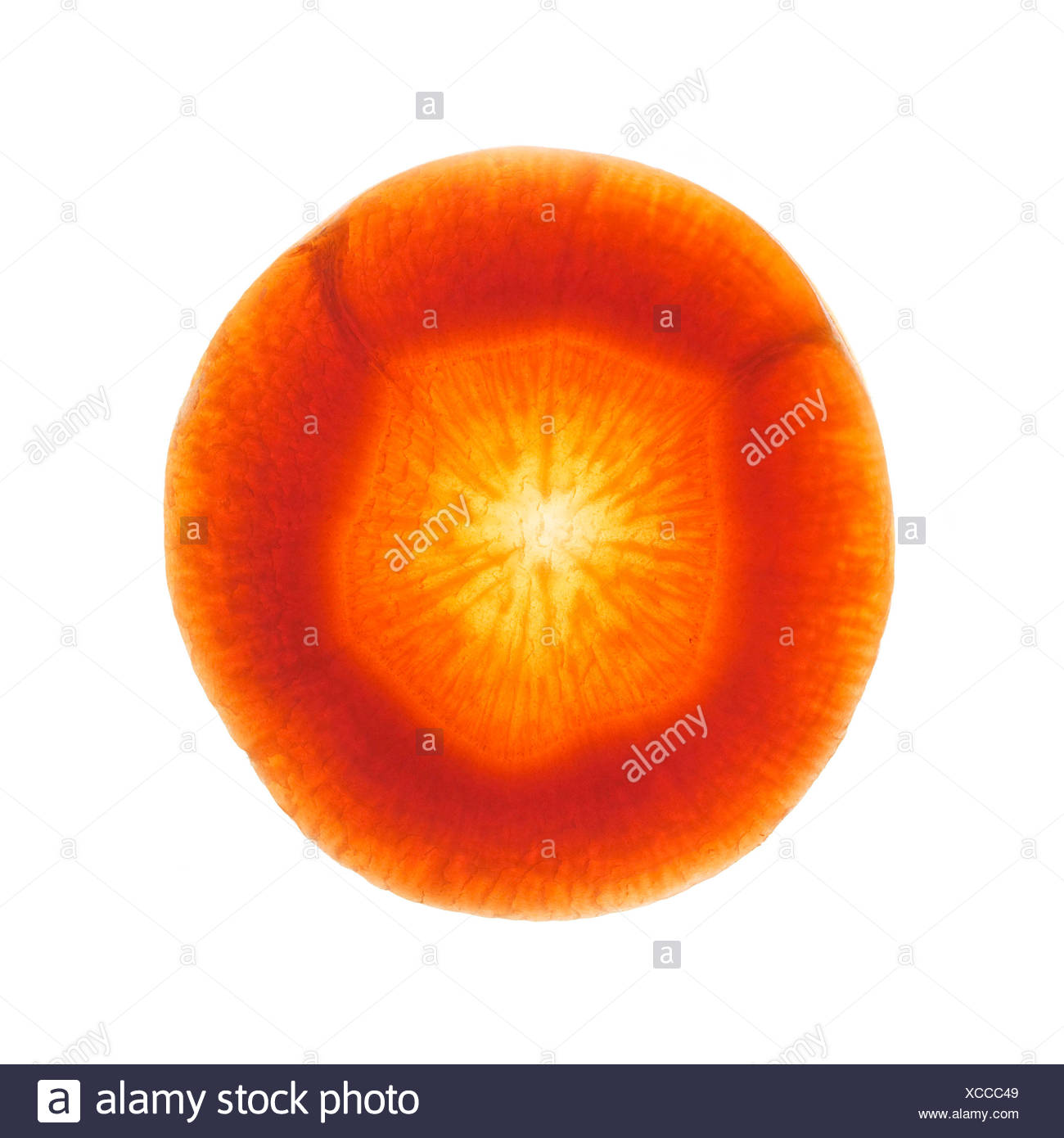 Carrot Root Cross Section High Resolution Stock Photography and Images ...