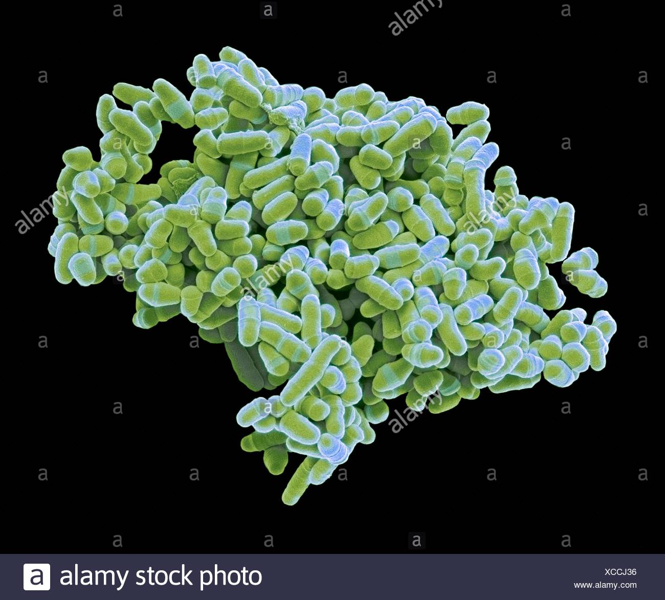 Cell Biology Black Background High Resolution Stock Photography and ...