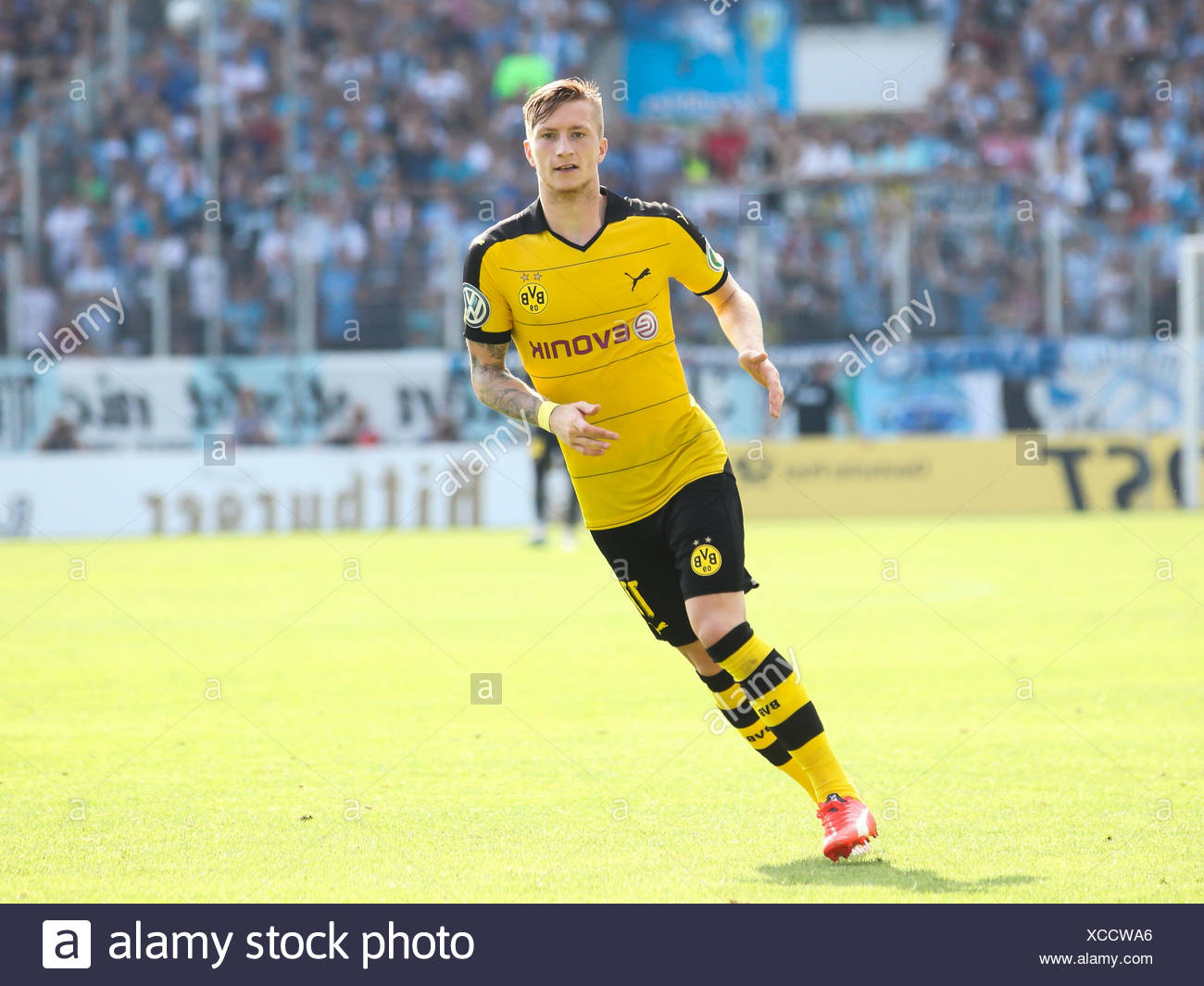 Marco Reus Borussia Dortmund High Resolution Stock Photography and ...