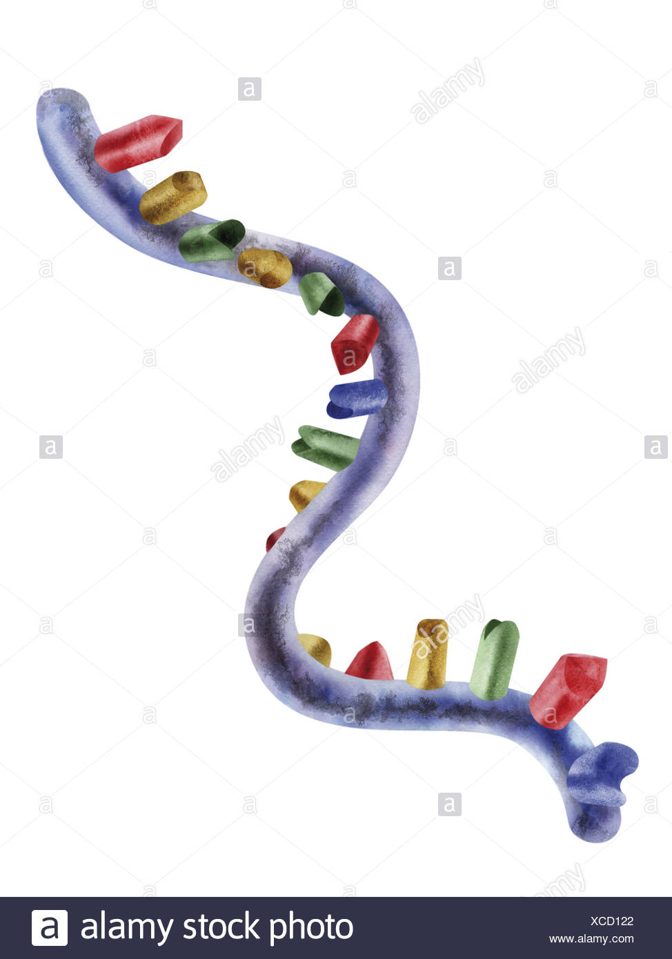 Messenger Rna High Resolution Stock Photography and Images - Alamy