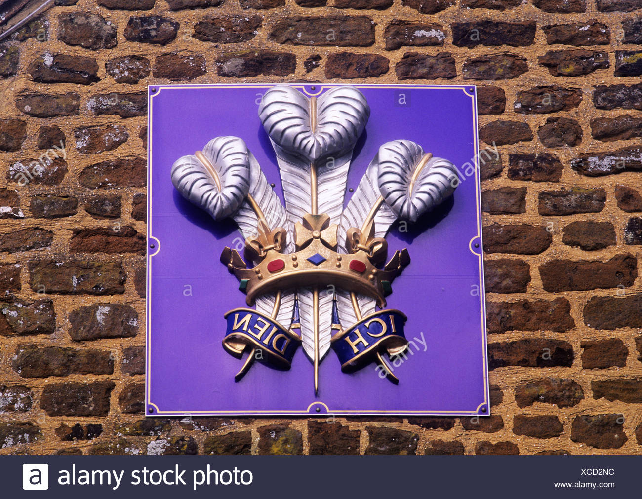 Royal Appointment Coat Of Arms High Resolution Stock Photography and ...