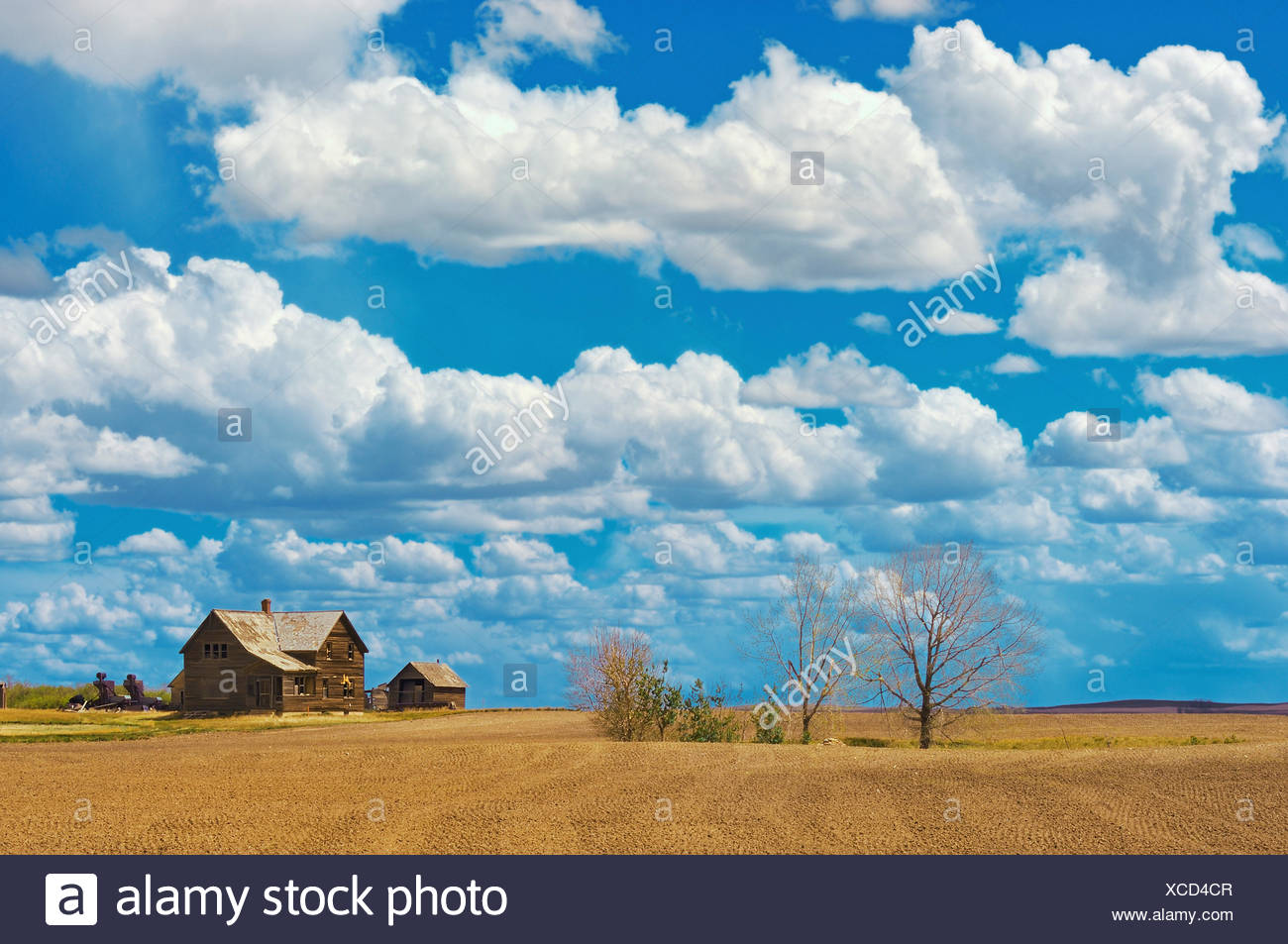 South Of Jenner High Resolution Stock Photography and Images - Alamy