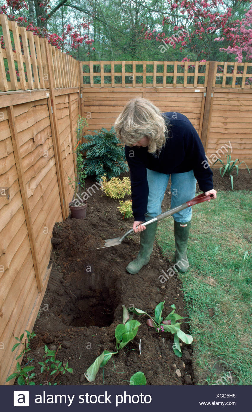Woman Digging Hole High Resolution Stock Photography and Images - Alamy