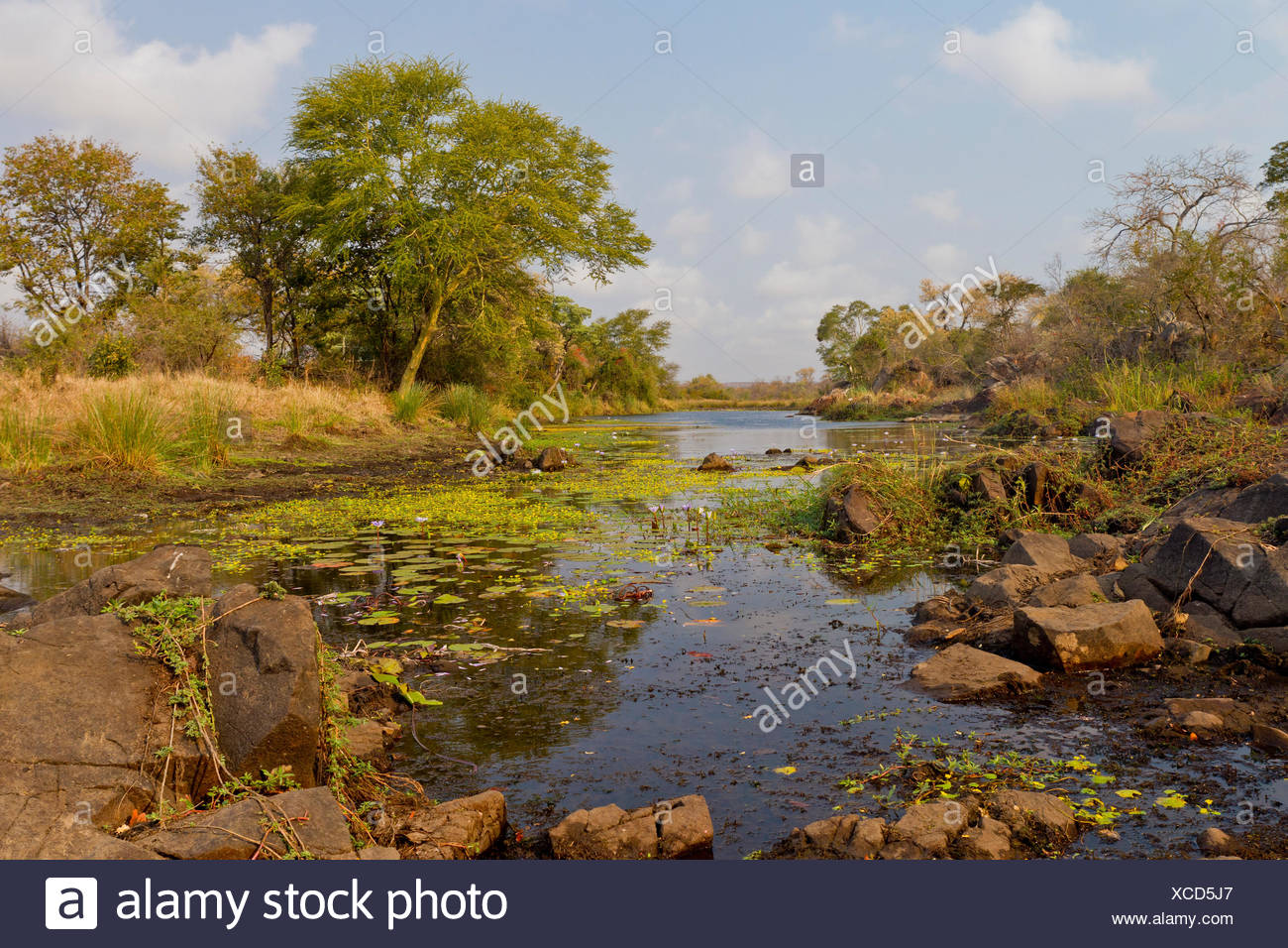 Limpopo River High Resolution Stock Photography and Images - Alamy