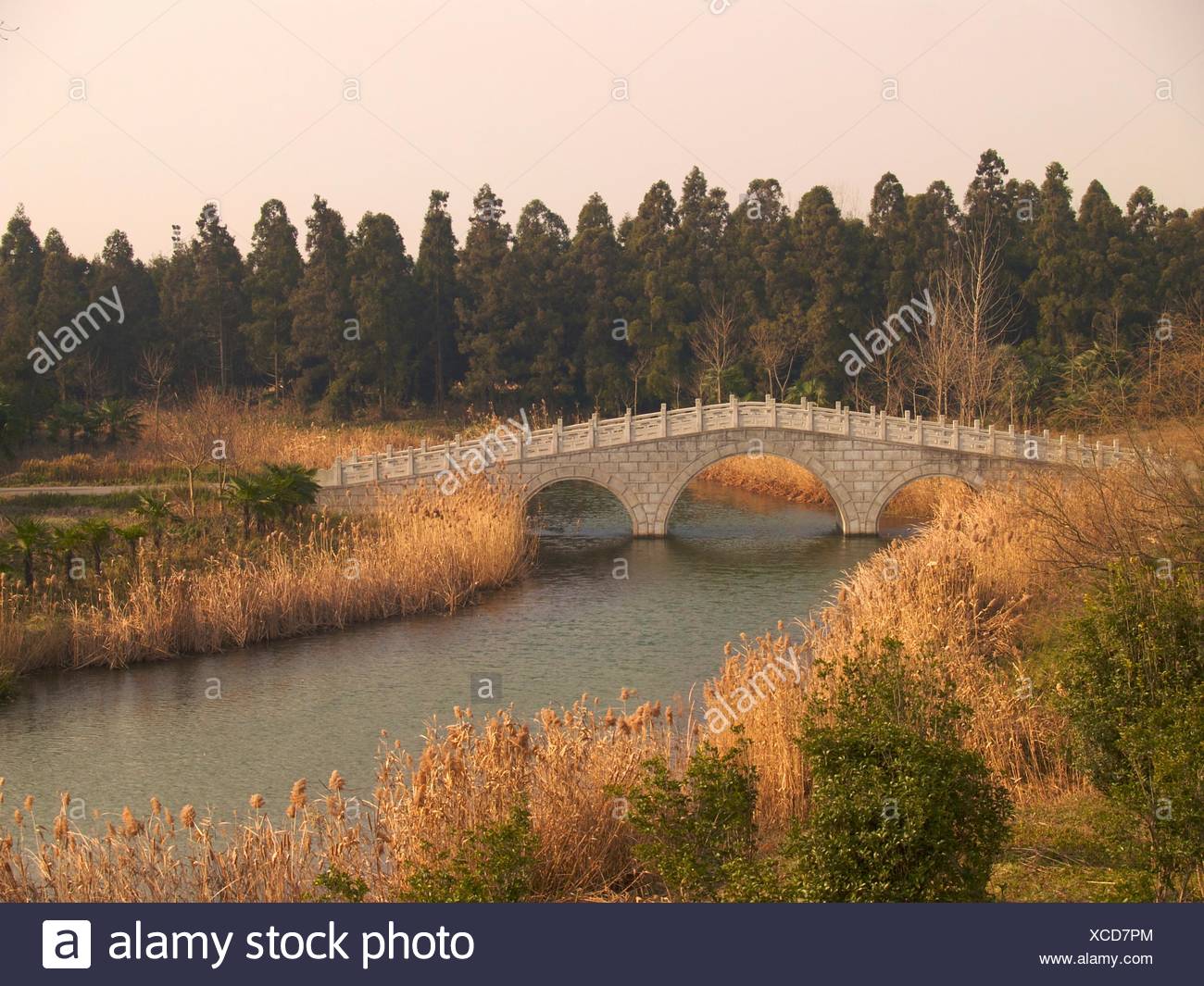 Chongming High Resolution Stock Photography and Images - Alamy