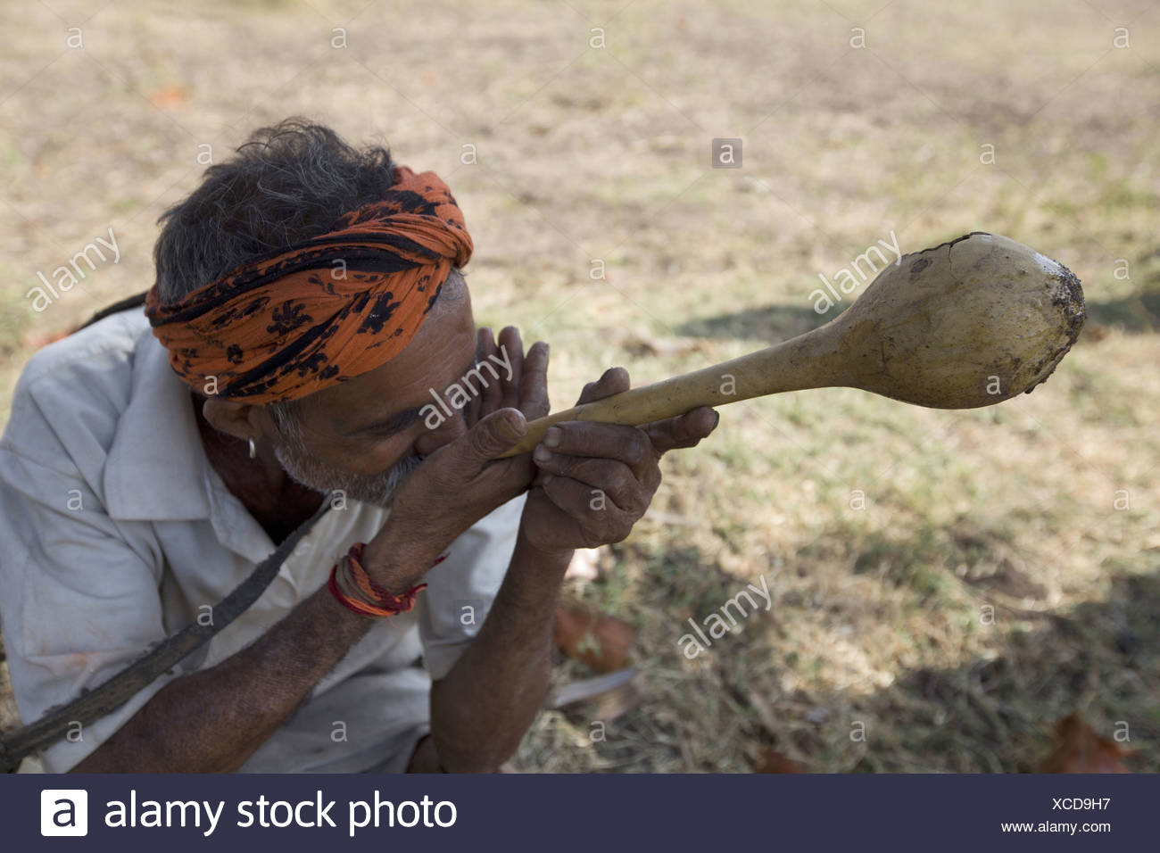 Palm Toddy Drink High Resolution Stock Photography and Images - Alamy