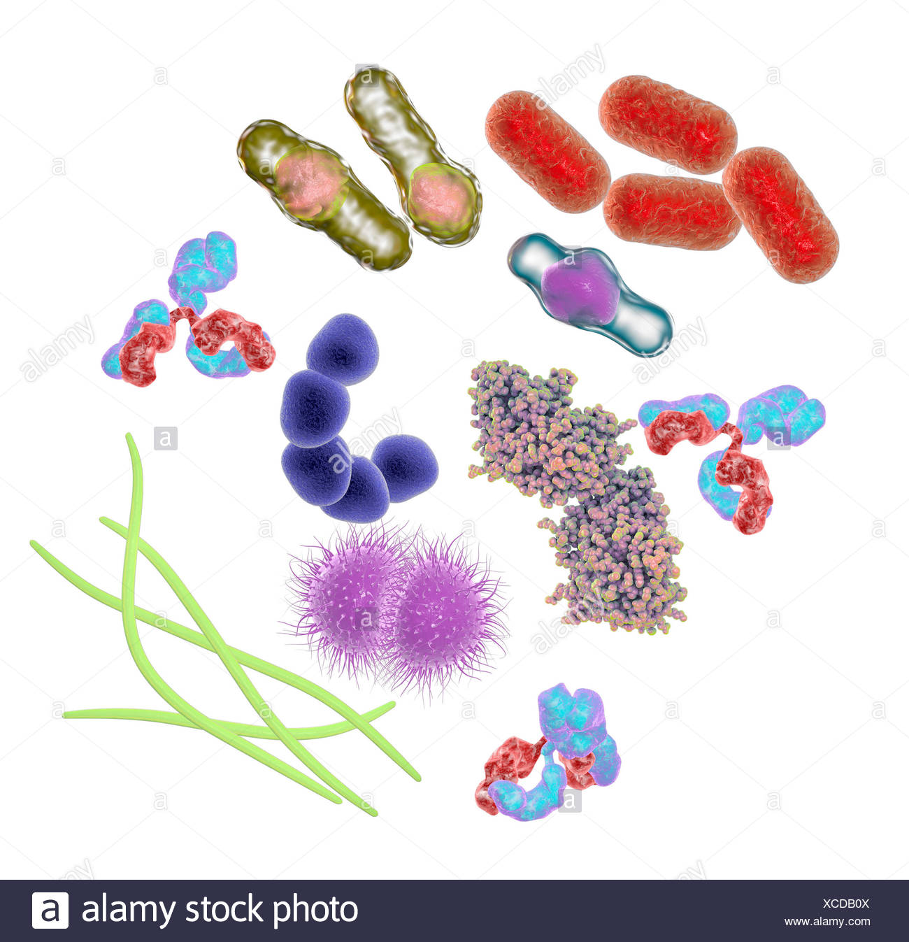 Microbes Stock Photos & Microbes Stock Images - Alamy