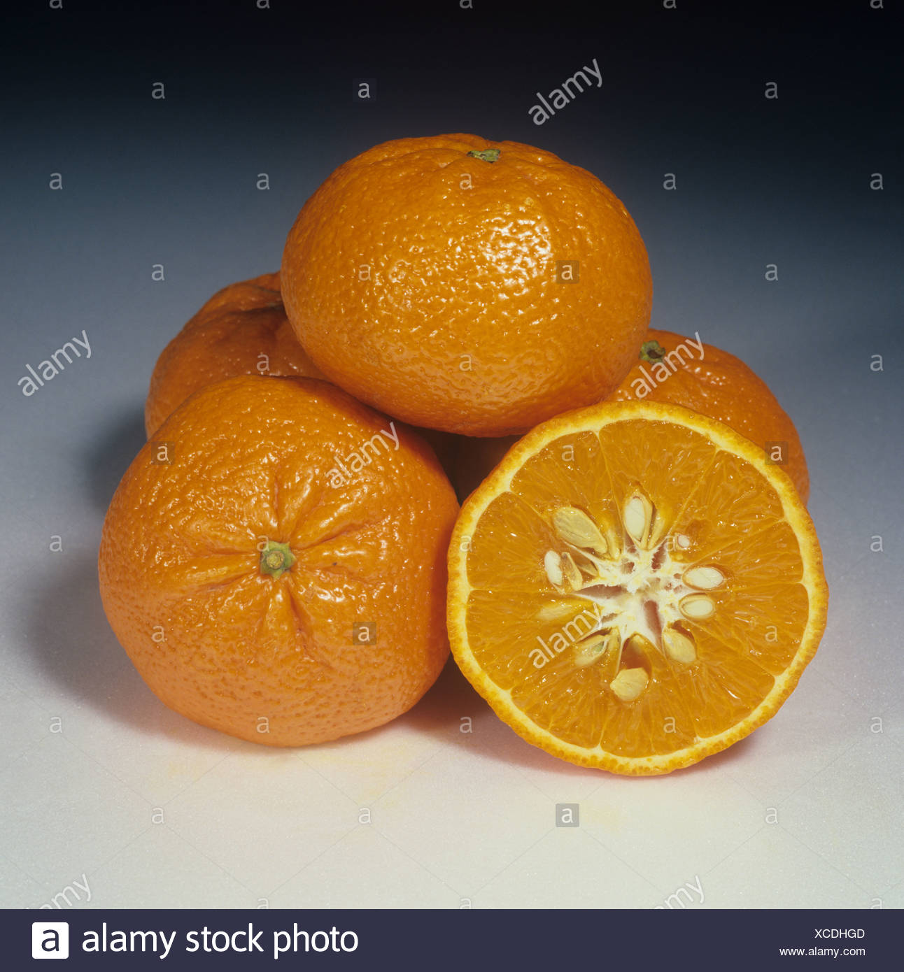 Mandora High Resolution Stock Photography and Images - Alamy