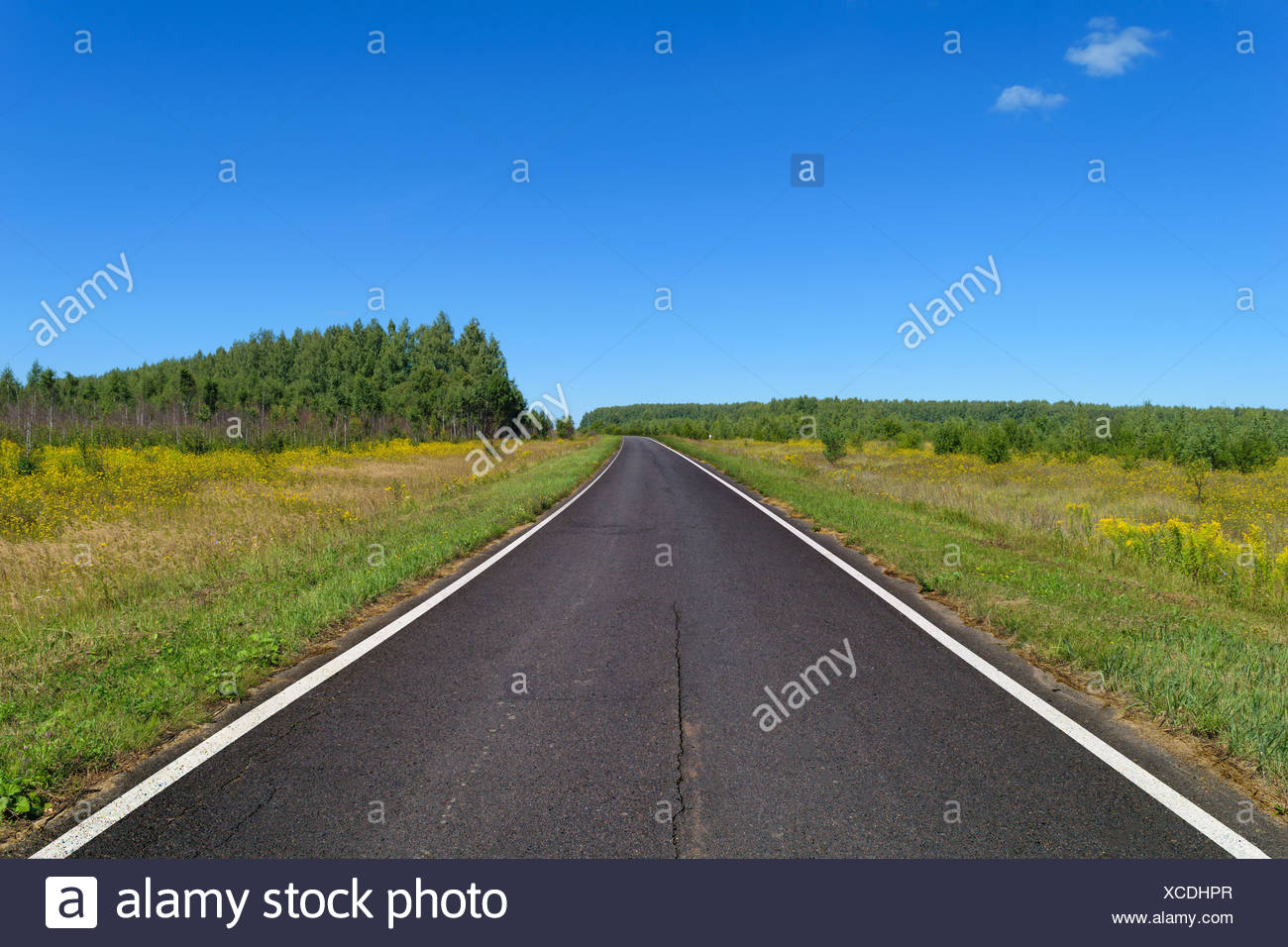Green Line Border Lane High Resolution Stock Photography and Images - Alamy