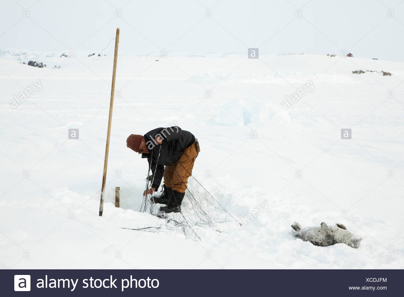 Snow Catching Nets High Resolution Stock Photography and Images - Alamy