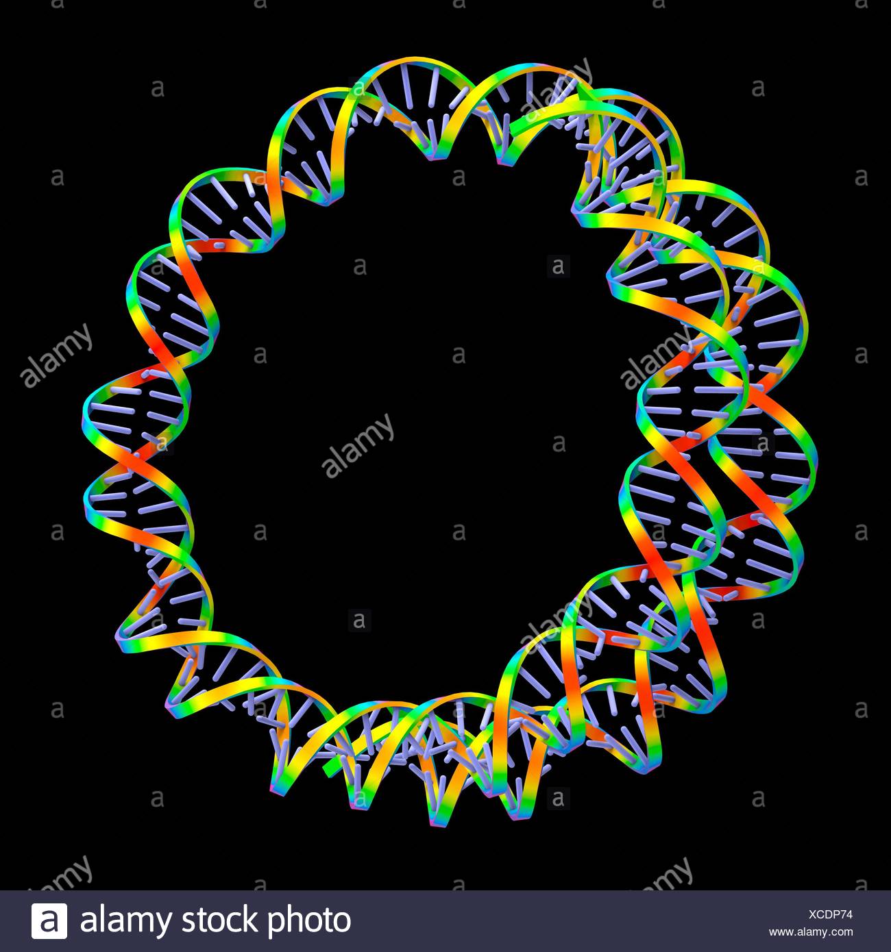 Circular Dna Molecule High Resolution Stock Photography and Images - Alamy