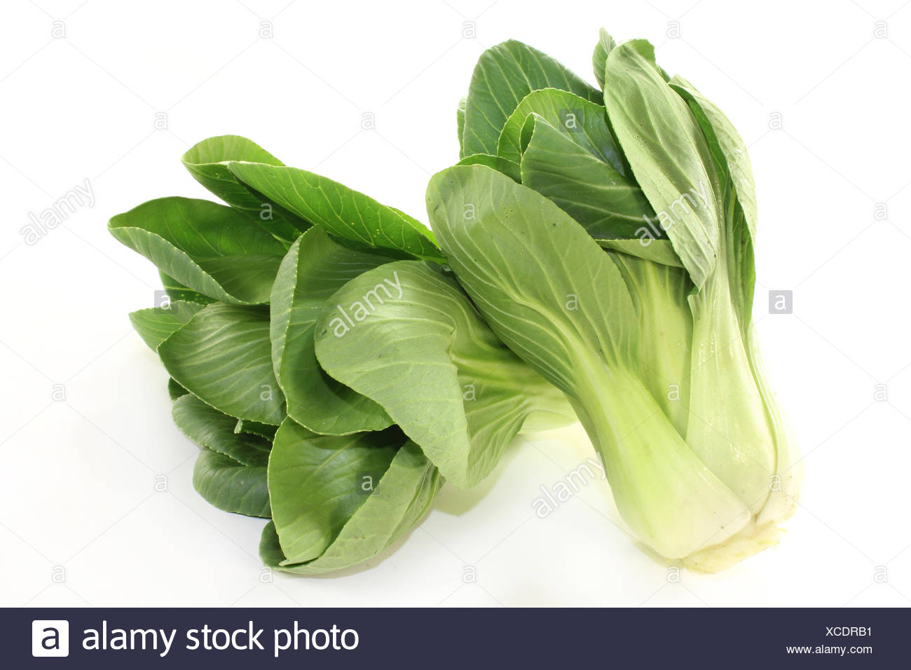 Baby Pok Choi High Resolution Stock Photography and Images - Alamy