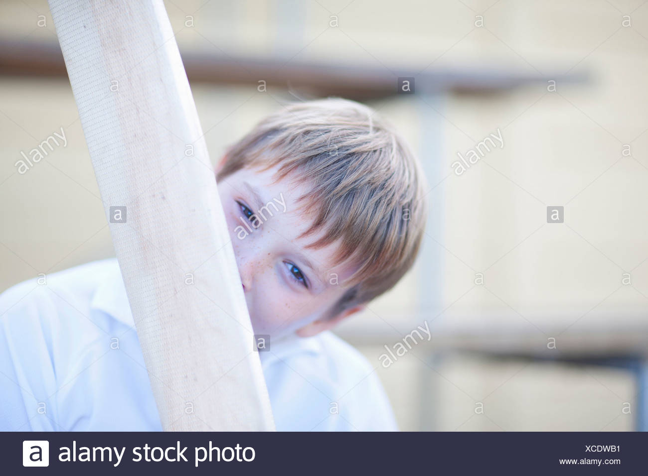 Bat Face High Resolution Stock Photography and Images - Alamy