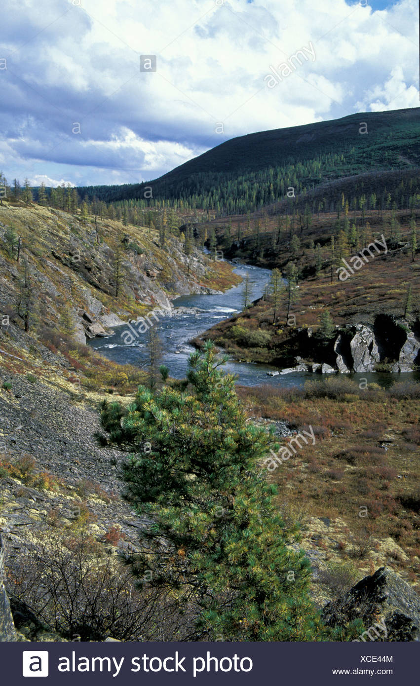 Lena_ High Resolution Stock Photography and Images - Alamy